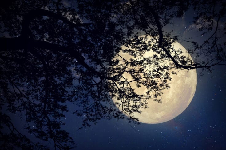 You'll Be Able To See The Super Snow Moon This Weekend. Here's How.