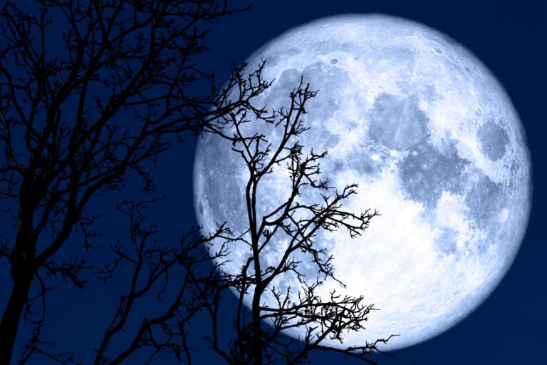 You'll Be Able To See The Super Snow Moon This Weekend. Here's How.