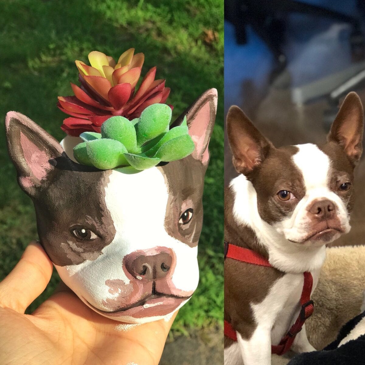 You Can Get A Custom Succulent Planter That Looks Exactly Like Your Dog