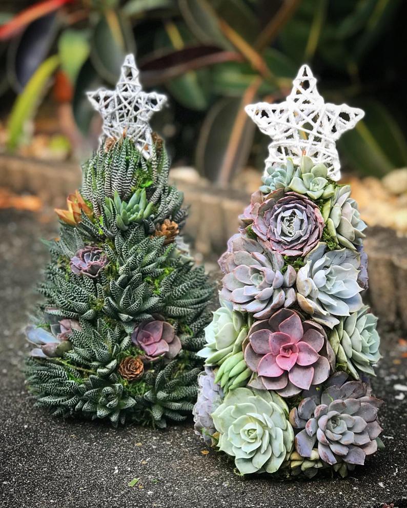 Succulent Christmas Trees Are This Year's Hottest Holiday Trend