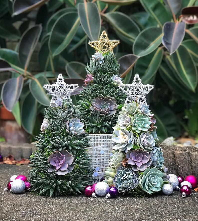 Succulent Christmas Trees Are This Year's Hottest Holiday Trend