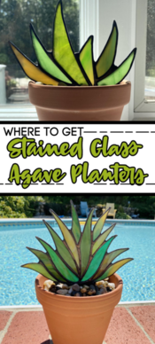 You Can Get Stained Glass Agave Planters That Illuminates When They Are ...