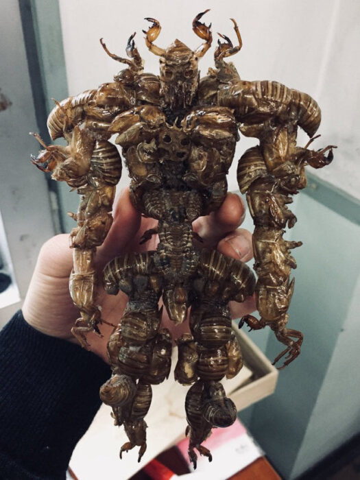 People Are Using The Exoskeleton Of Cicadas To Create Alien-Like ...