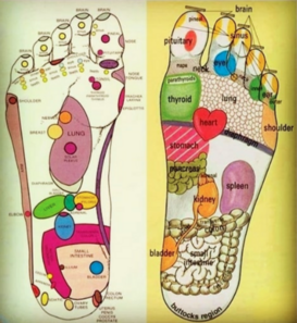 Here's What Happens When You Put Onions On Your Feet While You Sleep
