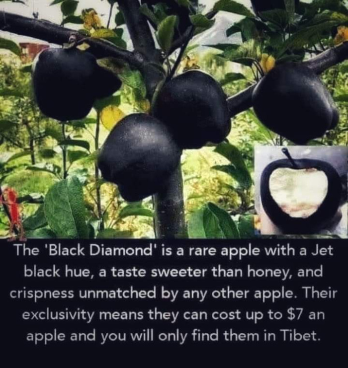 Black Apples Exist and Apparently They Taste Sweeter Than Honey