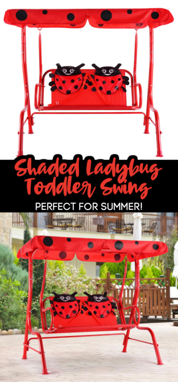 This Ladybug Toddler Swing Is The Perfect Outdoor Lounging Spot!