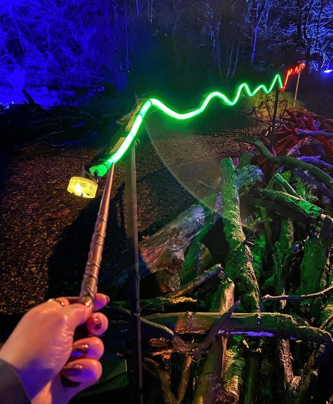 A Harry Potter Forbidden Forest Experience is Coming Just in Time for ...
