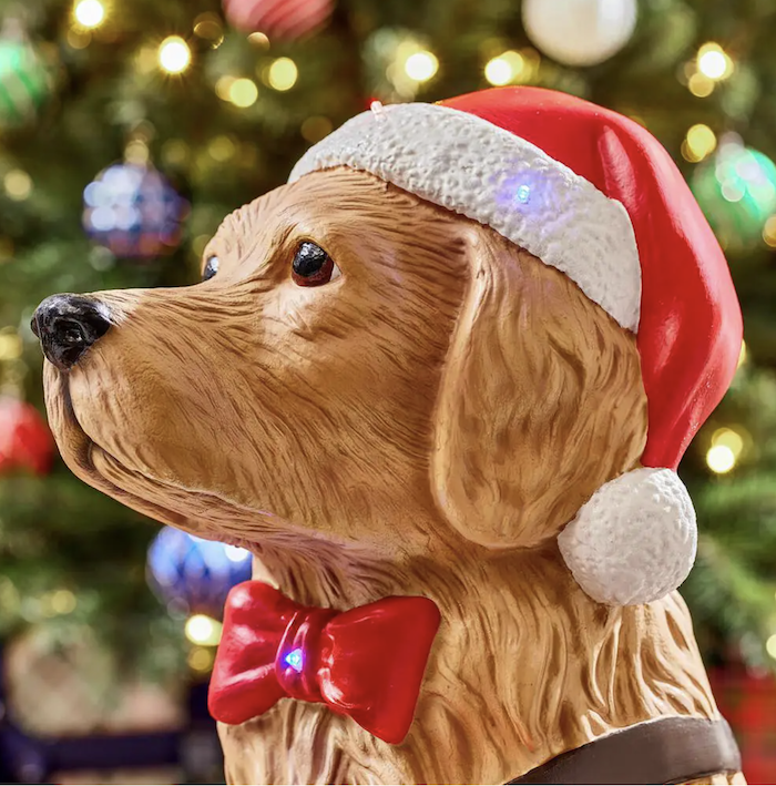 Here's Where to Find the Viral Christmas Golden Retriever Everyone ...