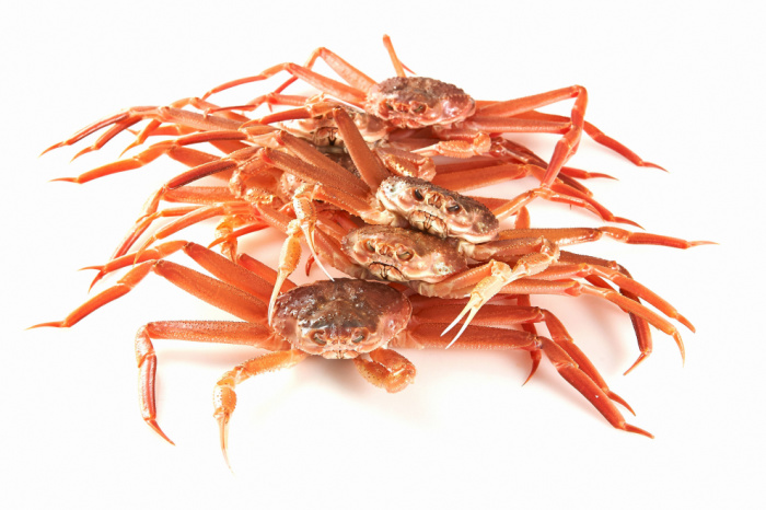 Billions of Snow Crabs Are Missing From the Waters Around Alaska and It ...