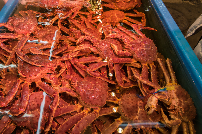 Billions of Snow Crabs Are Missing From the Waters Around Alaska and It ...
