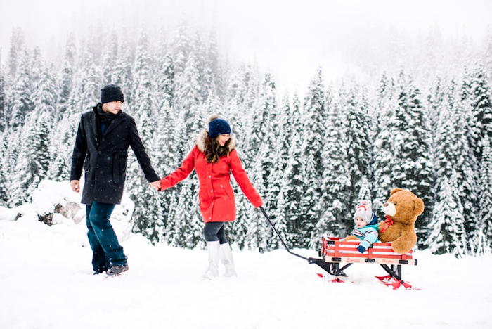 You Can Get A Wagon That Turns Into A Sled For The Best Winter Fun Ever