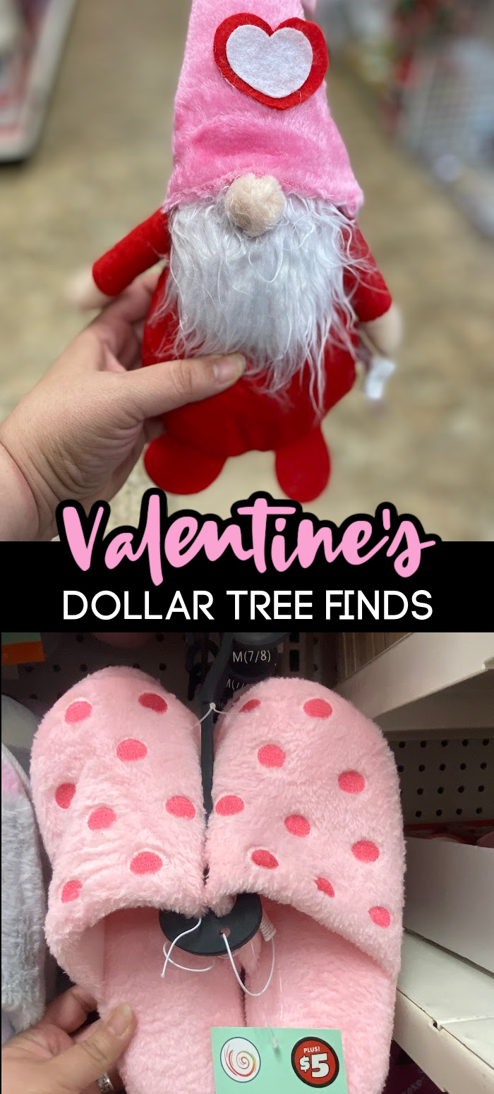 Dollar Tree Dropped Their Valentine's Day Collection and You're Going ...