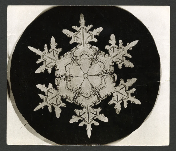 This Man's Photos Prove No Two Snowflakes Are The Same And It Is ...