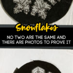 This Man's Photos Prove No Two Snowflakes Are The Same And It Is ...