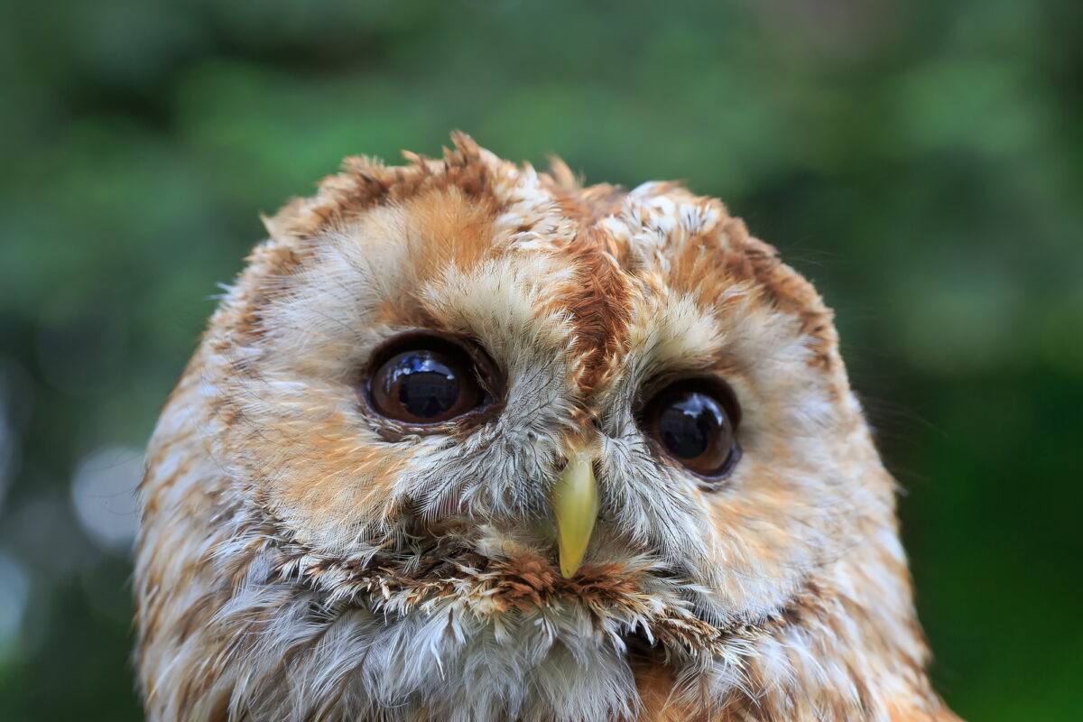 Why Being a Night Owl is the Ultimate Mom Trick